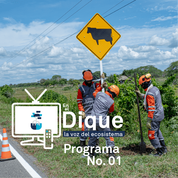 Prensa - Ecosistemas del Dique